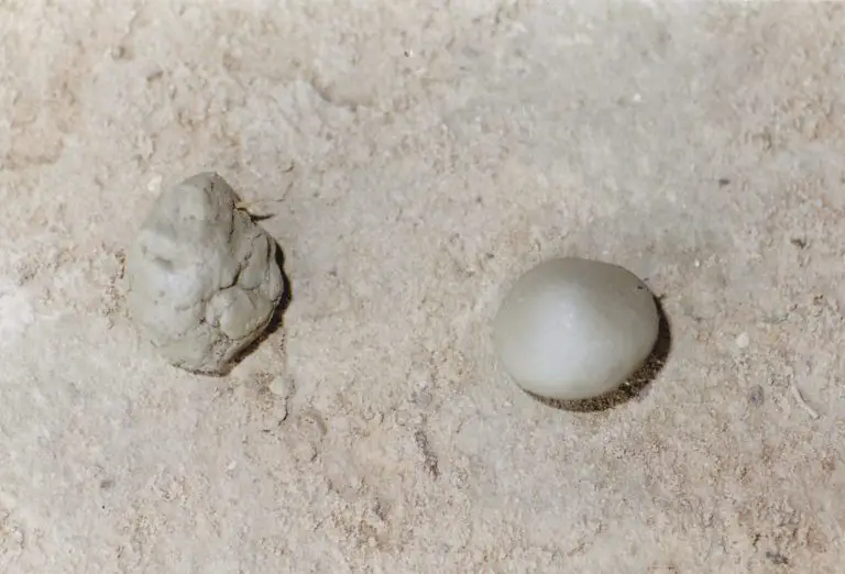 What is Ball Clay? - Spinning Pots